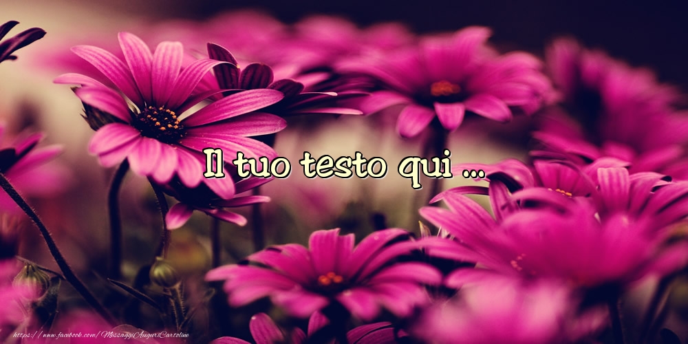 Crea cartoline personalizzate con testo | Compleanno | Cartoline di ...