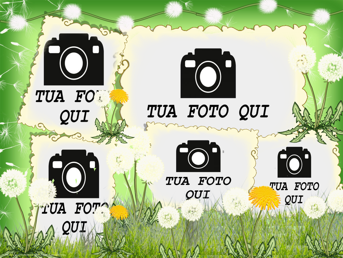 Un bellissimo collage primaverile con 5 fotos sull'erba | Crea immagini ...